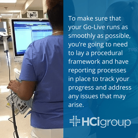 Go-Live Support: Procedures & Reporting