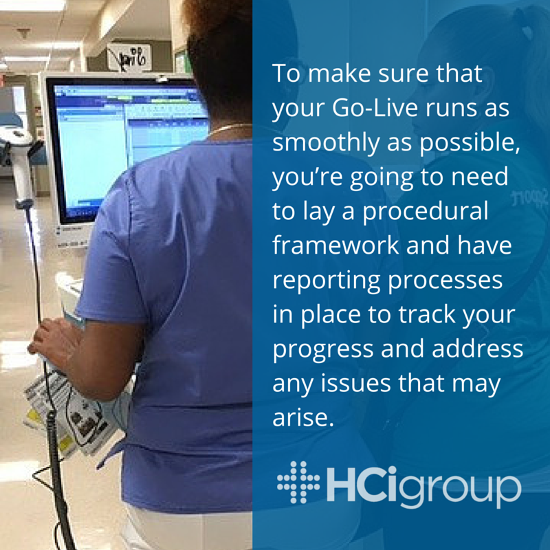 Go-Live Support: Procedures & Reporting